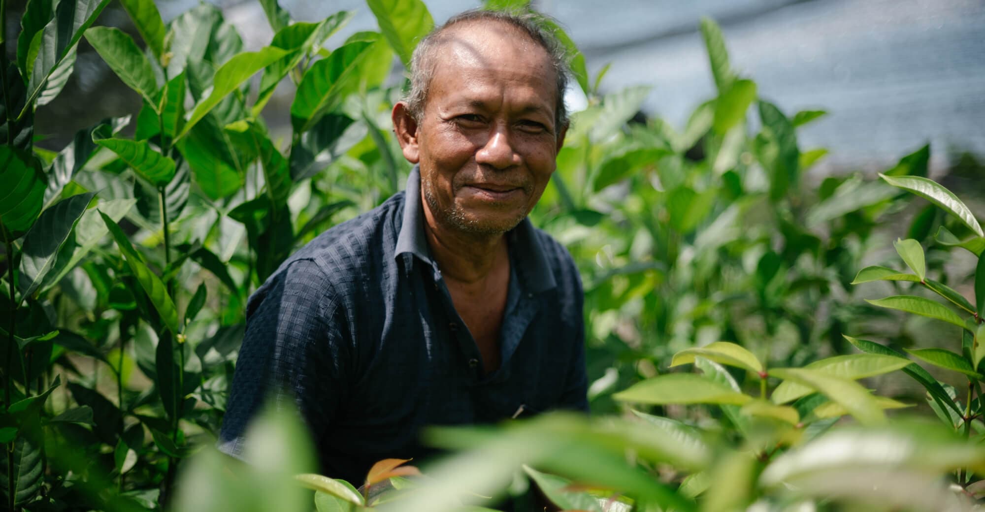 Plant trees for free while you shop - Freetree